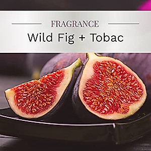 Essential Elements by Candle-lite Scented Candles Wild Fig & Tobac Fragrance, One 9 oz. Single-Wick Aromatherapy Candle with 50 Hours of Burn Time, Off-White Color