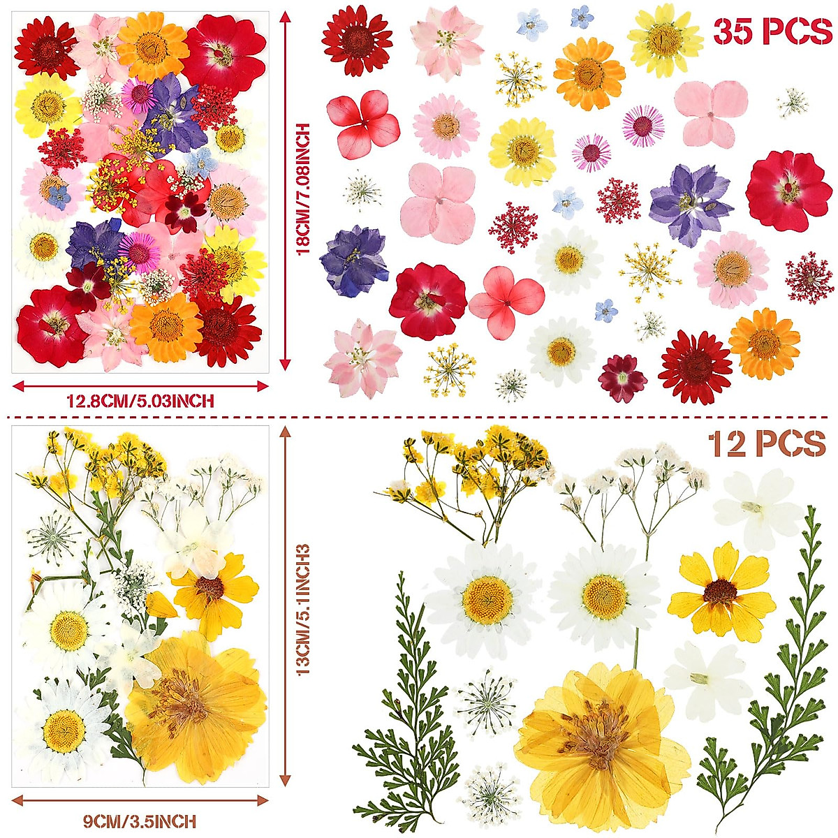 Real Dried Pressed Flowers Resin Leaves Natural Pressed Chrysanthemum Daisy Flowers with Tweezers for Scrapbooking DIY Candle Decoration Jewelry Crafts Making(Classic Style)