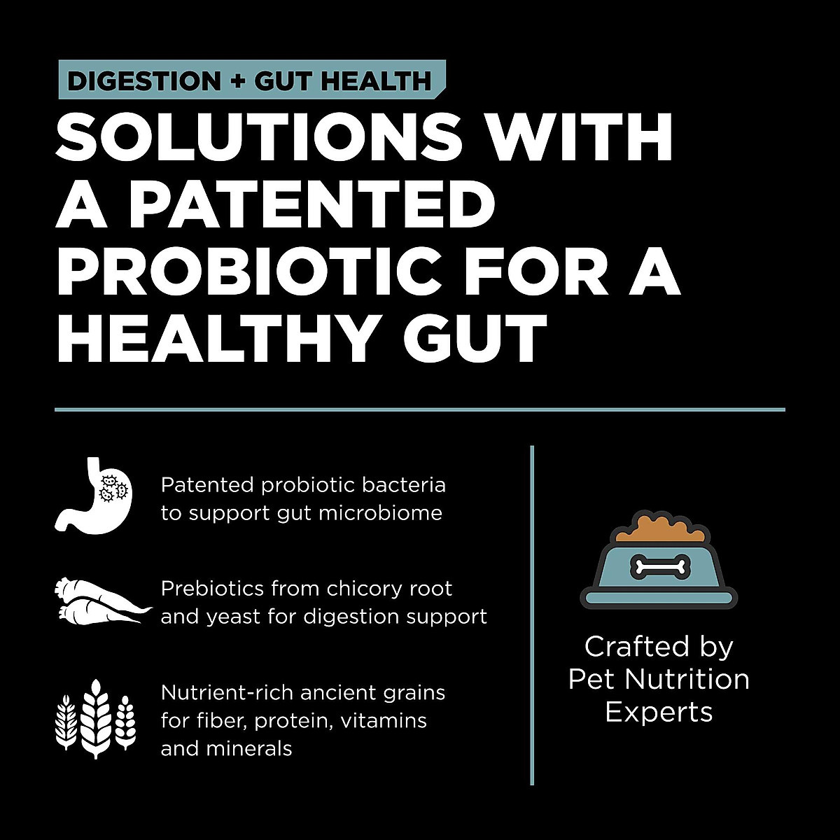 Go! Solutions Digestion + Gut Health, Dry Dog Food, Chicken Recipe with Ancient Grains, 3.5 lb Bag