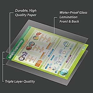 Daydream Education Genetic Engineering | Science Posters | Laminated Gloss Paper measuring 33” x 23.5” | STEM Charts for the Classroom | Education Charts