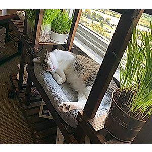 Enjoying Plush Cat Bed Mat 10" x 15" Pet Cushion with Pillow Around for Puppy Cat Curling Sleep Cat Pad for Cat Carrier/Crate Small Dog Self-Warm Bed, Antiskid Bottom, Small