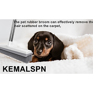 pet Hair Removal Broom Rubber Broom 66 inches Extended 2-in-1 Carpet rake with Scraper 4 Sections Stainless Steel Handle to Clean Hardwood Floor Bathroom Wipe