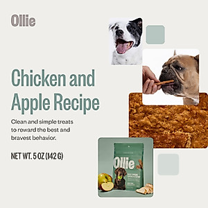 Ollie Chicken and Apple Recipe Jerky Dog Treats - Dog Jerky Treats All Natural - Healthy Dog Treats - Chicken Jerky for Dogs - Real Meat Dog Treats 15 Oz.