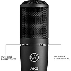 AKG Pro Audio P120 - Affordable 2/3-Inch Diaphragm Condenser Microphone for Clear Vocals & Instruments. Studio Recording or Live. XLR Connector. Black