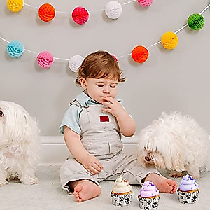 200 Pcs Paw Bone Cupcake Liners Dog Cupcake Wrappers Paw Pattern Cup Cake Holder Puppy Dog Theme Cupcake Wrappers for Baby Shower Birthday Party Supplies(Black)