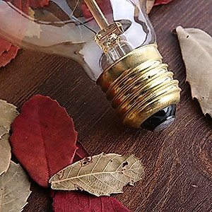 New Lights G25 Globe Edison Bulb, 60W Vintage Round Edison Bulb, Vintage Light Bulb, Old Fashion Dimmable Retro Incandescent Light Bulbs, 2100K Warm White, 240 Lumens,E26, Amber Glass, 4 Pack