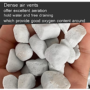 10QT Organic Perlite Horticultural Soil Amendment for Plants and Enhanced Drainage Enhanced