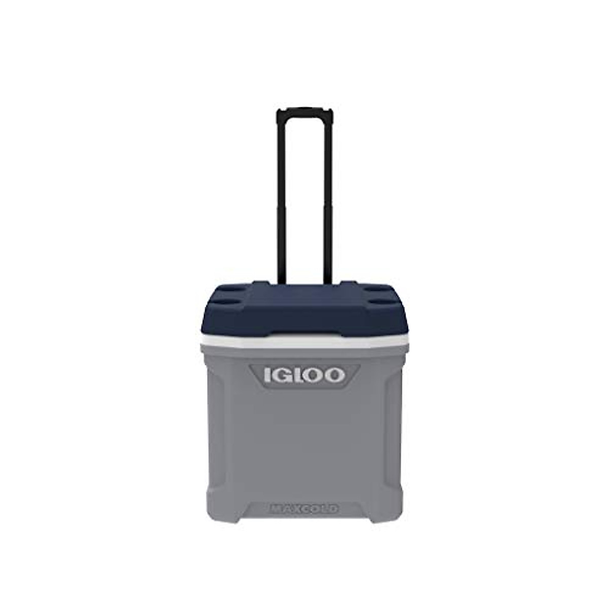 Igloo Maxcold 40-100 Qt Commercially Insulated Coolers