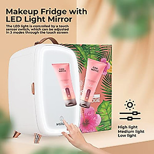 watrboy Professional Skincare Fridge, 6 Liter Cosmetic Beauty Fridge, Mini Makeup Fridge for Skin Care, Compact Makeup Fridge for Skincare