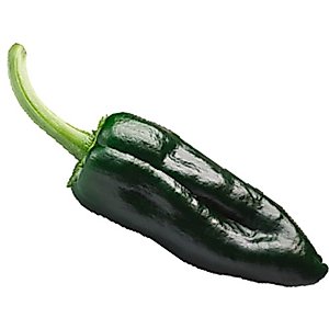 Ancho Poblano Pepper Seed - B60 (65 Seeds, or 1/2 Gram)