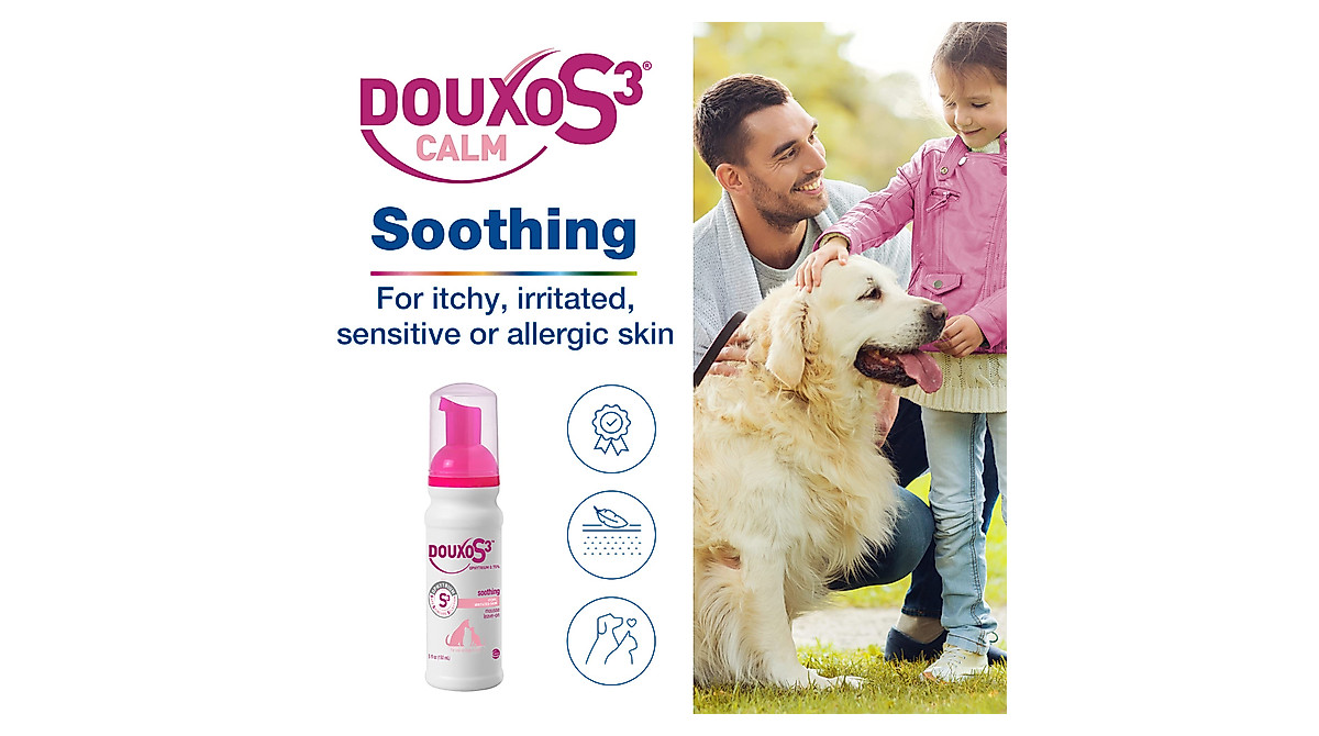 Douxo S3 Calm Mousse for Dogs & Cats - Soothe Itchy Skin