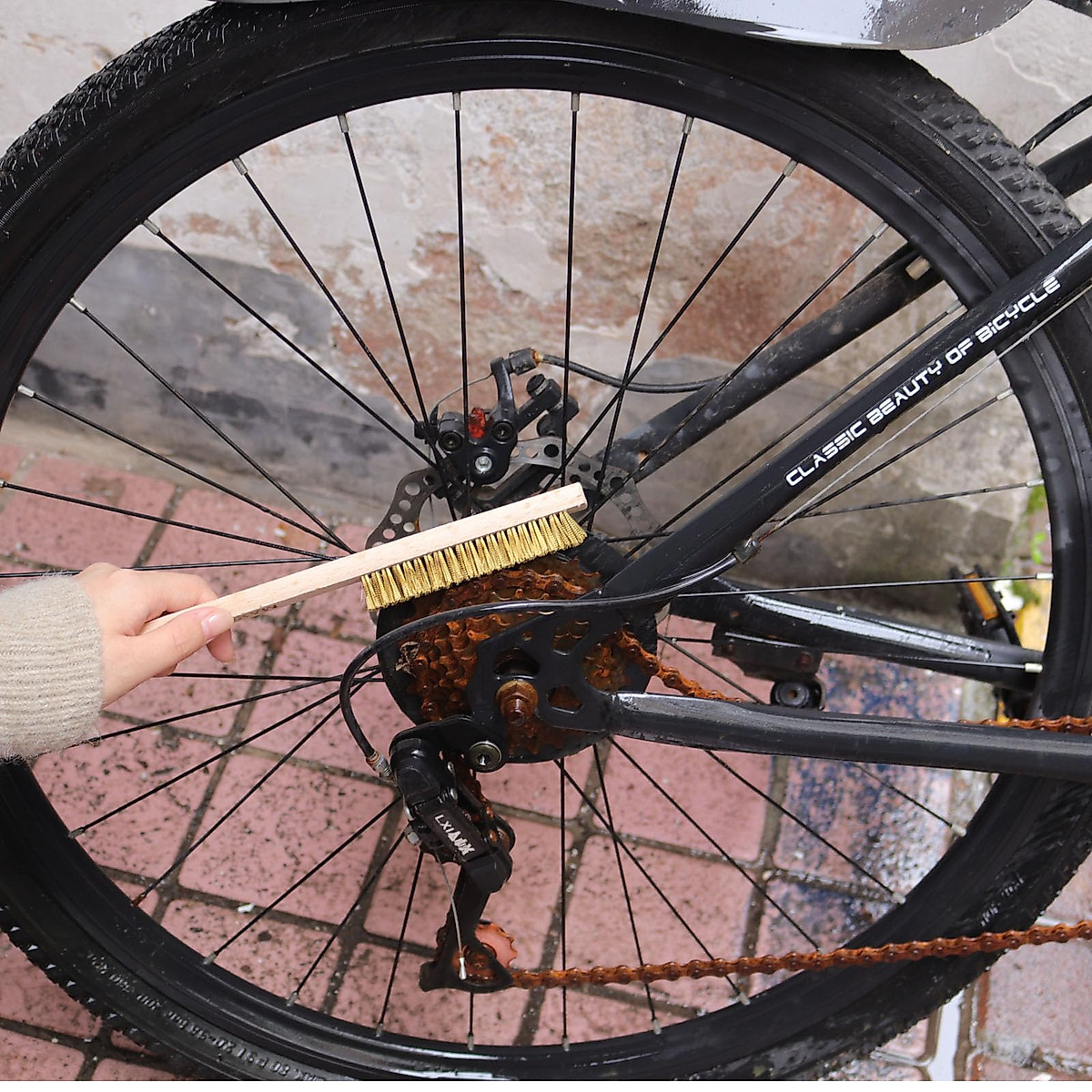 MAXMAN Brass Brush, Soft Brass Bristle Wire Brush for Cleaning Metal Rust, Welds, Home and Kitchen, Wire Scratch Brushes with 10" Beechwood Handle