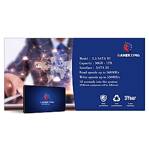 GAMERKING SSD 64GB SATAIII 2.5 inch 6Gb/s 7MM Internal Solid State Drive for PC Laptop Desktop Hard Drive SSDSSD (64GB, 2.5-SATA Ⅲ)