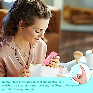 Newtay Dental Floss Picks with Travel Case Portable Dental Floss Travel Flosser for Women Men Teeth Cleaning, Peach Powder and Fresh Green (20 Box)
