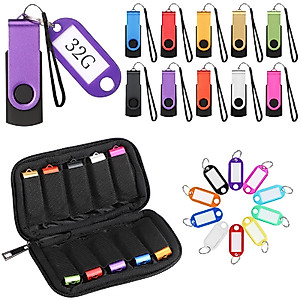 10 Pack Flash Drives Zip Drives with Lanyards, Key Tags and Storage Case Metal USB 2.0 Thumb Drives Multi Pack Bulk Swivel Memory Colorful Portable Keychain for Data Storage (32GB)