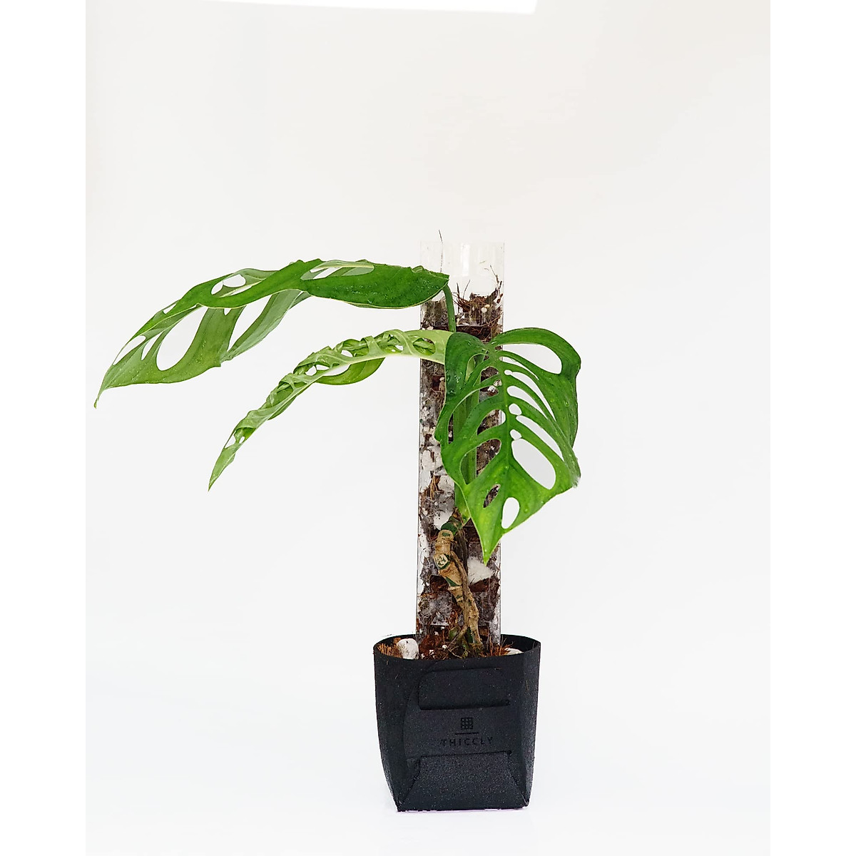 THICCLY Medium 3.0 GrowPole (5 Piece Set) Front Opening Plastic Moss Poles for Monstera