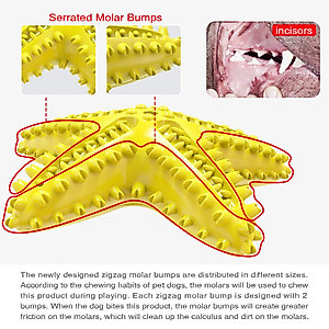 ANROD Dog Toothbrush Chew Toys for Aggressive Chewers Large Breed,Squeaky Talking Dogs Toy,Rubber Indestructible Tough Teeth Cleaning Stick for Small Dogs Dental Care (Yellow Starfish)
