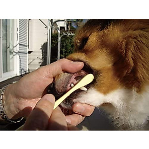 MIND UP Toothbrush Soft Bristle for Large Dogs