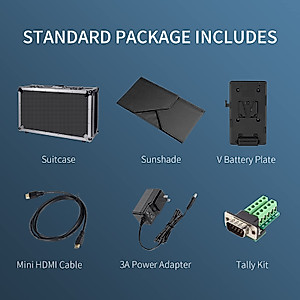 SEETEC 4K280-9HSD-CO 28 Inch 4K Ultra-HD Resolution Carry-on Broadcast Director Monitor