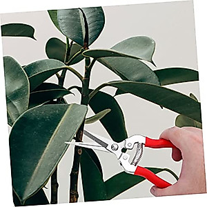 TEHAUX 2pcs Gardening Shears Multipurpose Tool Left Right Hand Scissors Pruning Shears Pruning Secateurs Scisors Tools Flowers Plants Grafting Tool Fruit Tree Clippers Stainless Steel