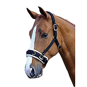 Shires Fleece Lined Lunge Cavesson (X-Full, Black)