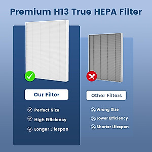 2 Pack C545 True HEPA Replacement Filter S Compatible with Winix C545, B151, P150, 9300 Air Cleaner Purifier, Replaces Part 1712-0096-00 2522-0058-00, 2 True HEPA Filter + 8 Activated Carbon Filters