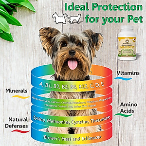 Immune Support Dog Supplement - Dog Allergy Relief with Vitamins, Minerals, Echinacea and Brewers Yeast for Dogs - Immunity Dog Health Supplies, Dog Itch Relief - Cat & Dog Vitamins and Supplements