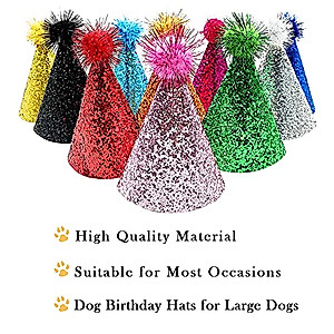 PET SHOW 10pcs Small Dog Birthday Hat Set for Boys Girls Medium Large Dogs Cat Kitten Puppies Party Hats with 0-9 Numbers 10 Glue Grooming Accessories