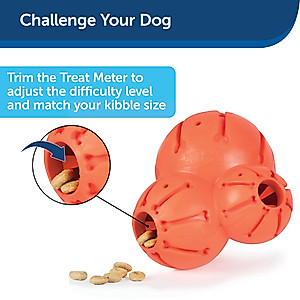 PetSafe Sportsmen Barnacle - Dog Chew Toy - Interactive Pet Puzzle for Boredom or Separation Anxiety - Use with Treats - Small