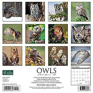 Willow Creek Press Owls Monthly 2024 Wall Calendar (12" x 12")