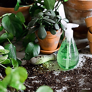 Method Gel Hand Wash, Green Tea + Aloe, 12 oz, 1 pack, Packaging May Vary