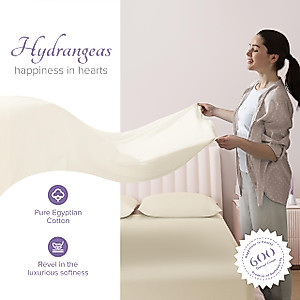 Carressa Linen Luxury Egyptian Cotton 4 PC King Size Sheet Set - 600 Thread Count Deep Pocket Fitted and Flat Sheets, Soft, Cooling Extra Long Staple Hotel-Quality Bedding with Sateen Weave - Ivory