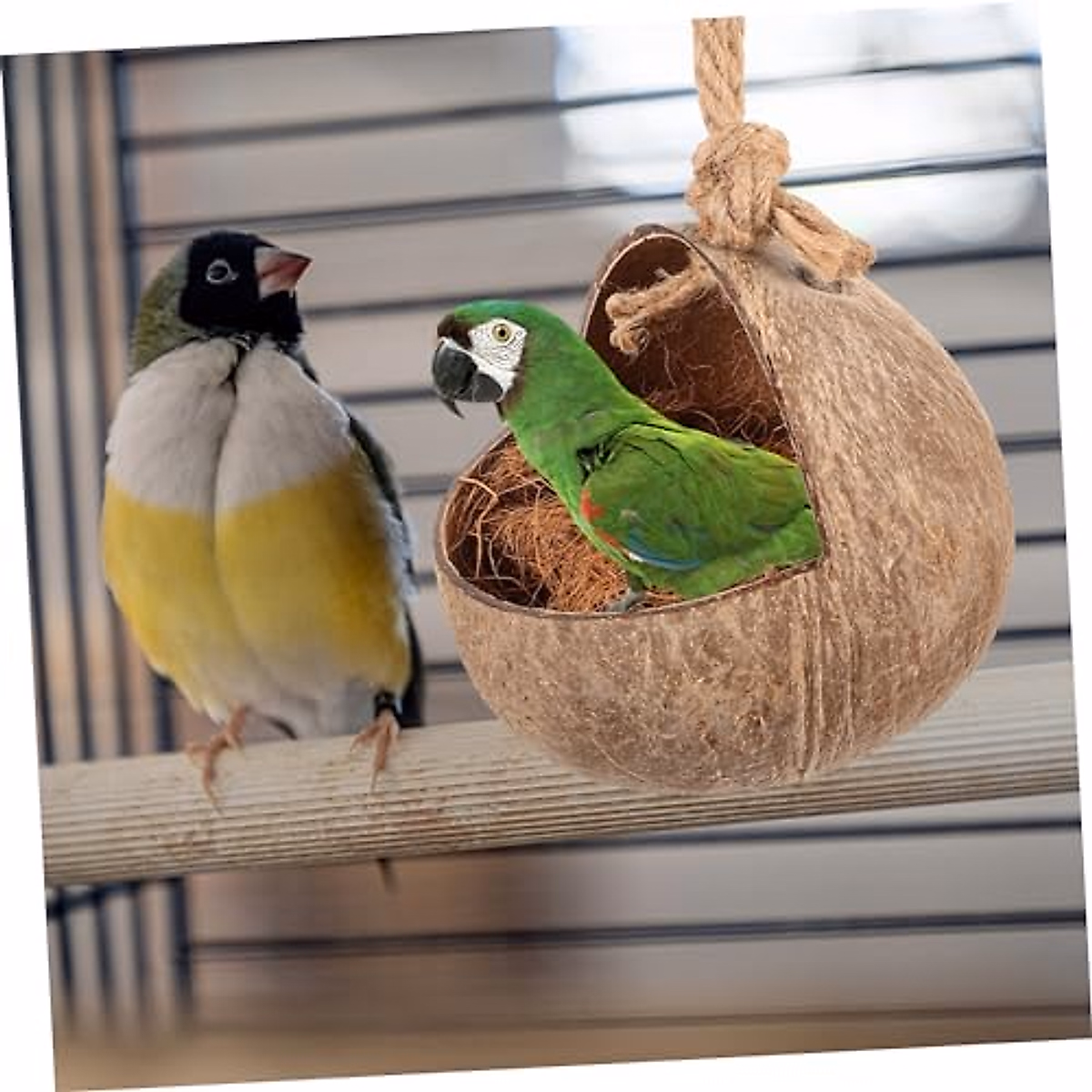 balacoo Coconut Shell nest Parrot Hammock Hamster Hammock Suspending Bird Hammock Bird House Parrot Supply Bird Coco Swing Parrot Sleeping Hammock Bird Sleeping Nest The Bird's nest Bed