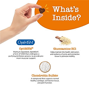 Mobility Bites for Dogs, Hip and Joint, All Ages, Duck, 90 Soft Chews, 12.7 oz (360 g), Zesty Paws Discontinued Listing DO NOT Buy