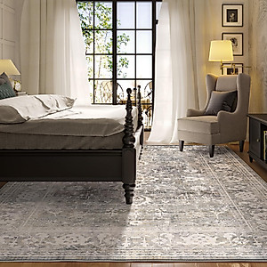 DEXI Area Rug 5x8, Washable Rugs Living Room Dining Room Bedroom Bedside, Non-Shedding Low-Pile Shag Soft Large Carpet Mat for Inside Floor, Beige Grey