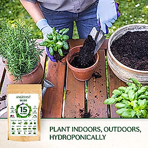 Herb Seeds 15 Variety Pack - Non GMO, Heirloom Seeds for Planting Indoor, Outdoor, and Hydroponic Medicinal Garden - Basil, Cilantro, Mint, Lavender, Rosemary, Dill, Parsley, Thyme, Sage, and More