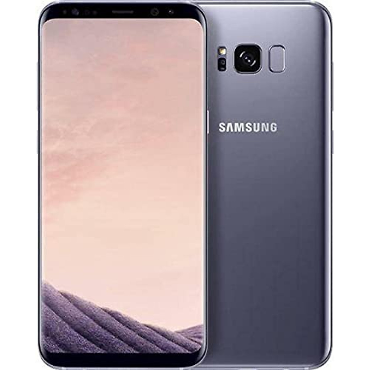 Samsung Galaxy S8 Plus 64GB Orchid Gray AT&T