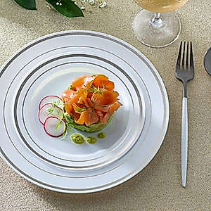 Comfy Package [60 Piece] Combo Silver Trim Plastic Plates - Premium Heavy-Duty 30 Disposable 10.25" Dinner Party Plates and 30 Disposable 7.5" Salad Plates