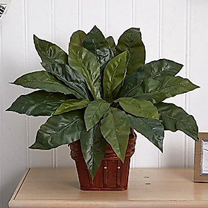 Nearly Natural 6530 Bird Nest Fern with Wicker Basket, Green