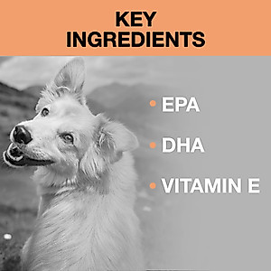 Nutriline Labs Omega 3 Fatty Acid Soft Chews for Dogs - Fish Oil Supplements with EPA, DHA & Vitamin E - Supports Immunity, Brain & Heart Wellness - Made in The USA - Yummy Beef Flavor - 90 Count