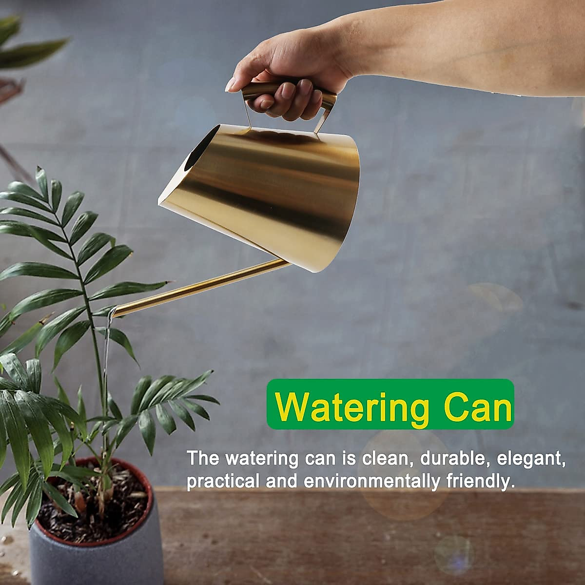 WEBTB Watering Can Indoor Plants Gold Watering Can Stainless Steel Bonsai Watering can 1.5L Small Watering Can for Outdoor Watering Plants Mini Watering Can House Plants Home Gardening Water Bottle