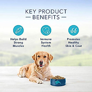 Blue Buffalo Life Protection Formula Natural Adult Dry Dog Food, Chicken & Brown Rice (38 Lbs.), 38 Lb
