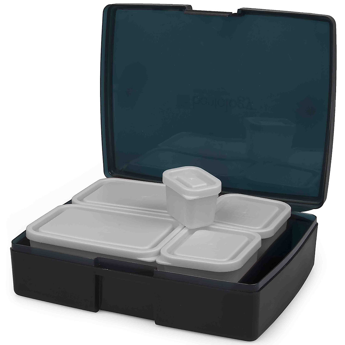 Bentology Lunch Bag and Box Set for Kids - Boys Insulated Lunchbox Tote, Bento Box, 5 Containers and Ice Pack - 9 Pieces - Fish