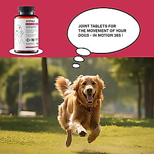 animaux – in Motion 365 for Dogs, Joints, Bones, Mobility, Ligaments and Tendons, Green-Lipped Mussel, Willow Bark and Devil’s Claw, Natural Pain Relief, 60 Chewable Tablets, 60 Days Supply