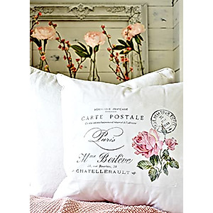 Rust-Oleum 350457 Specialty Photo Transfer Medium, 8oz, Matte, 8 Ounce