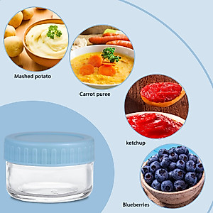 FEOOWV 6pcs Salad Dressing container, Glass Small condiment with Lids-DippingSauce Cups Set-Leakproof Reusable with Lid Small Jars Lunch Box Accessories (2.7oz/80ml)