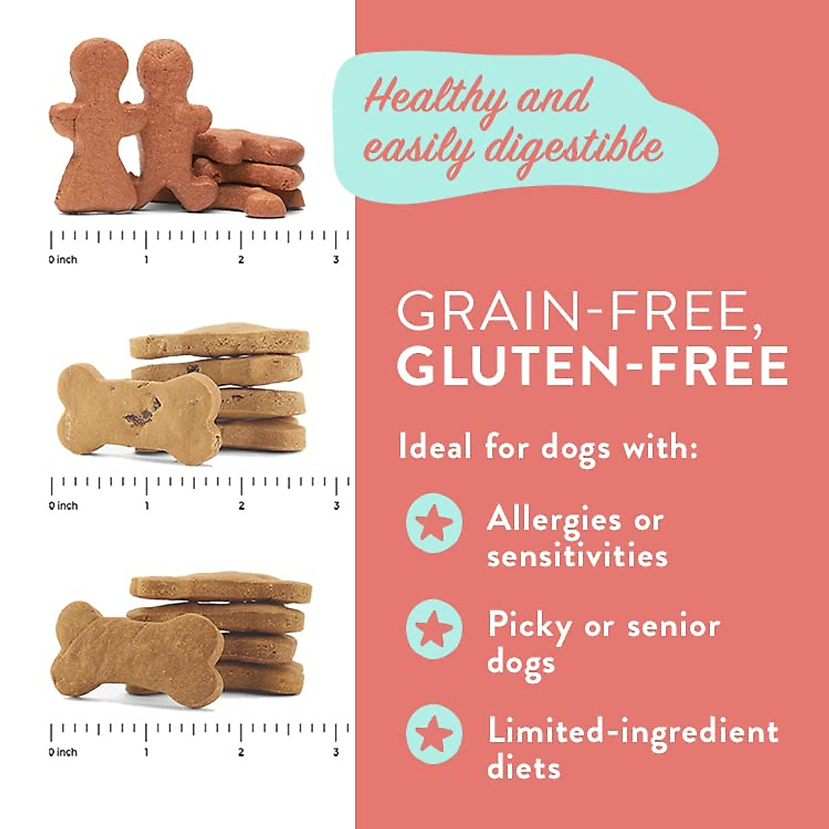 Crafted by Humans Loved by Dogs Portland Pet Food Company Grain-Free & Gluten-Free Biscuit Dog Treats (1-Pack 5 oz) — Pumpkin Flavor — All Natural, Human-Grade, Made in The USA