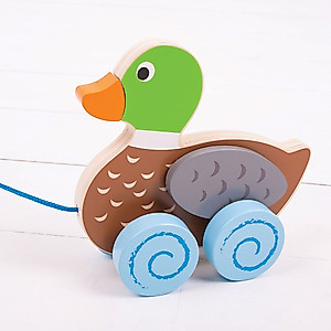 Bigjigs Toys Wooden Duck Pull Along Toy
