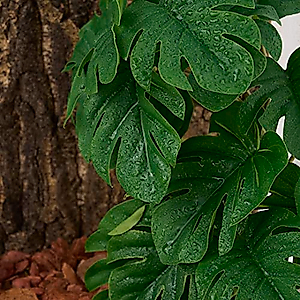 WOLEDOE Reptile Plants for Terrarium, Amphibian Habitat Decor Artificial Hanging Plants with Suction Cup - Fake Monstera