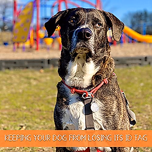 18 Pieces Leash Dog Tag Clip Pet ID Tag Pet Tag Clip Quick Clip Combos Durable Dog ID Tag with Rings, Stainless Steel Quick Clips Pet ID Tag Holder for Dog Cat (Silver, 1.9 Inch，1.3 Inch，0.8 Inch)